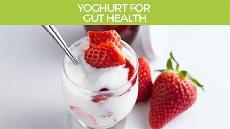 The Health Benefits Of Yoghurt During A Detox
