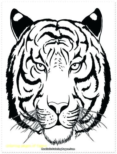 Detroit Tigers Coloring Pages At GetColorings Free Printable