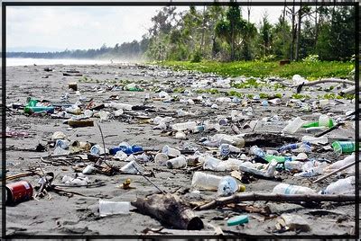 Penjelasan Lengkap Dampak Dan Cara Penanggulangan Pencemaran Air