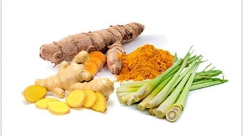 Resep Dr Zaidul Minuman Herbal Kesehatan Berbahan Kunyit Sereh Jahe