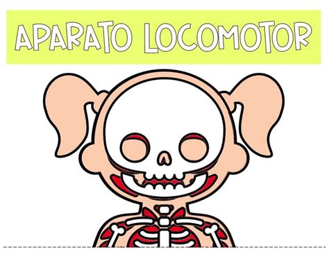Pin de Karli en Exploración Cuerpo humano para niños Aparatos del