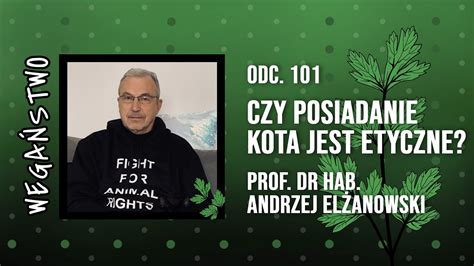 Czy posiadanie kota jest etyczne Prof dr hab Andrzej Elżanowski