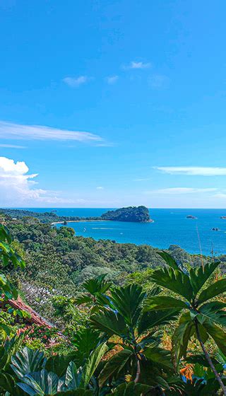 Parc Manuel Antonio Costa Rica Voyage Sur Mesure Meltour
