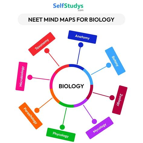 Mind Maps For Neet Pdf Biology Chemistry Physics