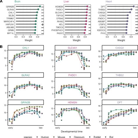 organ wise weights of factor 2 in the evo devo application a genes download scientific