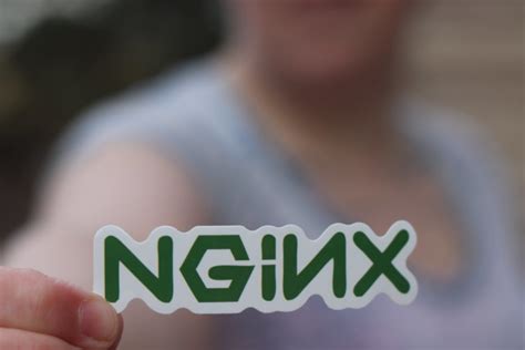 Nginx Installation On Debian Linux The Complete Guide Zack S