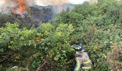 Por qué se creó el incendio en cerros orientales de Bogotá