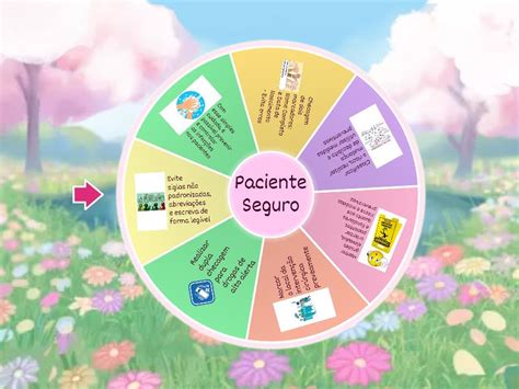 Roleta Das Metas Internacionais Para A Seguran A Do Paciente Spin