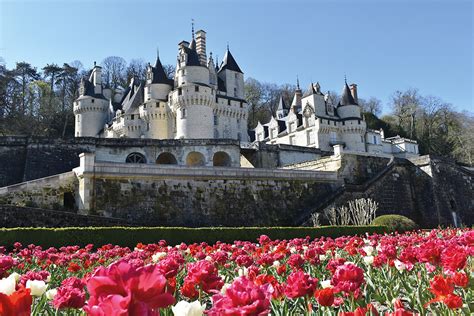 Château dussé le cadre de la belle au bois dormant