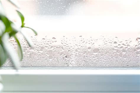How To Stop Condensation On Your Windows During Winter The Organised