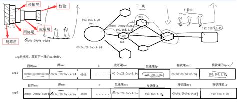 linux网络编程基础知识 现获取了一个以太网桢 csdn博客