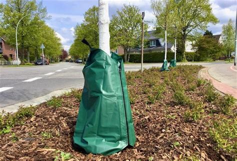 Stadt montiert schon 1200 Wassersäcke für Bäume