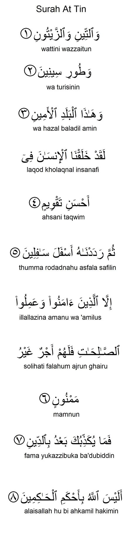 Surah At Tin Panduan Rumi Terjemahan Aku Muslim