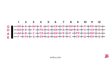 Complete Guide To Bass Guitar Notes Enthuziastic