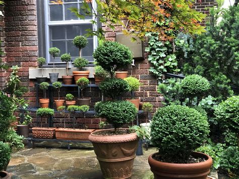 Boxwood Topiary On Back Porch Container Garden Design Garden Urns