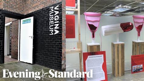 London S Vagina Museum Searching For New Home As Property Guardianship