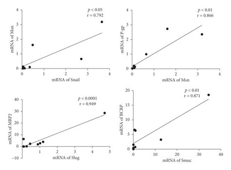 Correlations Of MRNA Levels Among Efflux Transporters Transcriptional