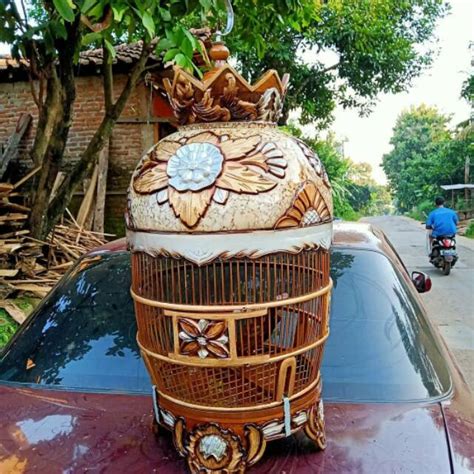 Jual Sangkar Perkutut Mahkota Sangkar Perkutut Lomba Shopee Indonesia