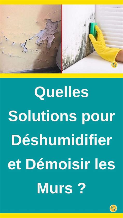 Les Solutions D Finitives Pour La Moisissure Des Murs En
