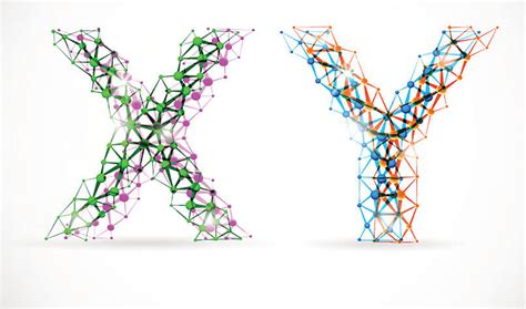 Theorie X En Theorie Y TeambuildingNation