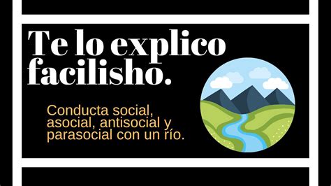 Conductas Sociales Antisociales Asociales Y Parasociales Explicado De