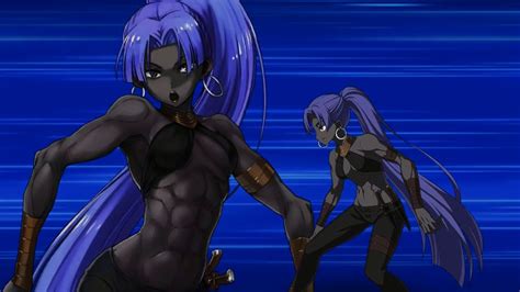 Fgo Assassin Hassan Of The Hundred Faces Noble Phantasm Animation Stage