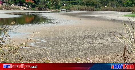Hoy Tamaulipas Tamaulipas Se Seca Parte De La Laguna La Aguada En
