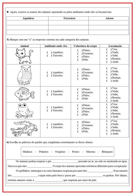 Avaliação de Ciências para o 3º Ano