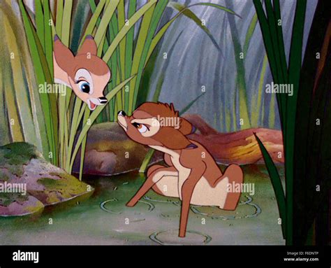 RELEASE DATE August 21 1942 MOVIE TITLE Bambi STUDIO Walt Stock