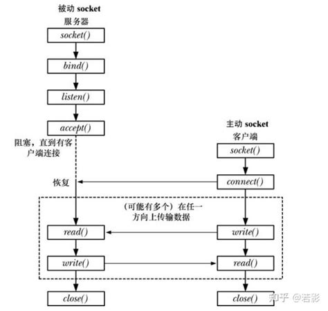linux系统编程学习笔记——socket编程基础 知乎