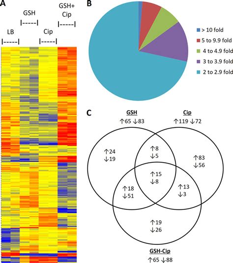 A Heat Map Of Microarray Gene Expression Comparisons Of Gene