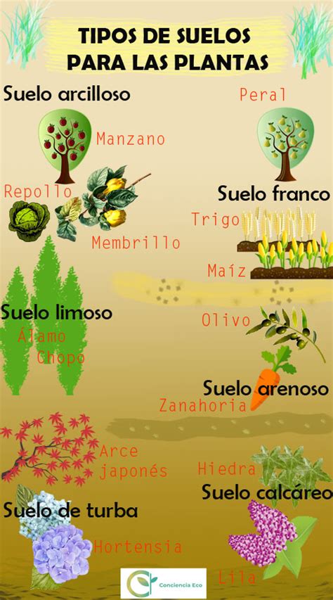 Día Mundial del Suelo 2022 microbioma e infografía de 6 tipos de