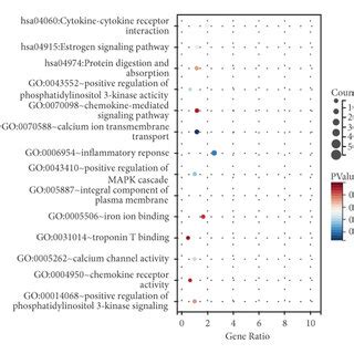 Functional Enrichment Analysis A GO Term And KEGG Pathway Analyses