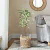 Stylewell Ft Indoor Artificial Dracaena Tree The Home Depot