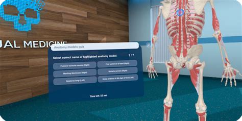Human Anatomy Vr For Institutions On Meta Quest Quest Vr Off