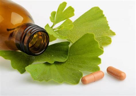 10 Beneficios Probados Del Ginkgo Biloba