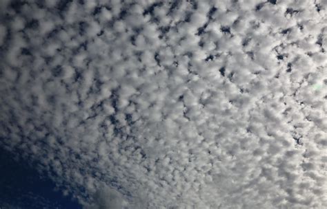 Cielo Aborregado Cielo Muy Cargado De Esta Clase De Nubes Flickr