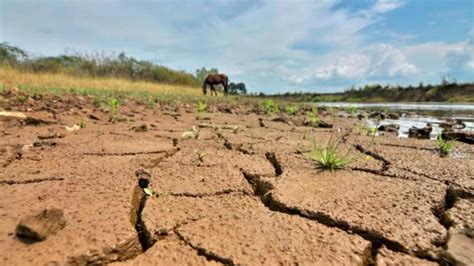 Declaran oficialmente el fenómeno de El Niño a nivel mundial Noticias24 7