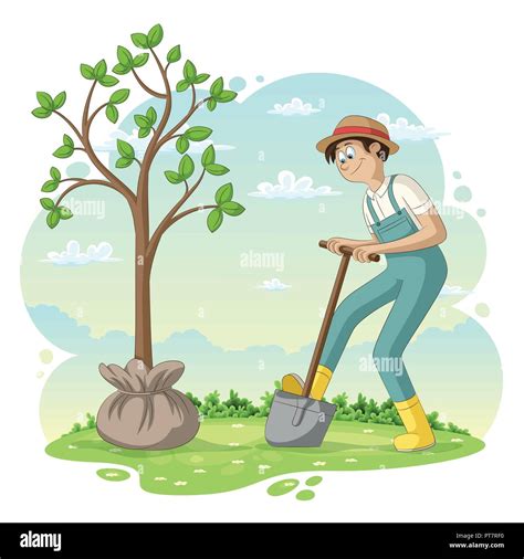 Hombre plantando un arbol Imágenes vectoriales de stock Alamy