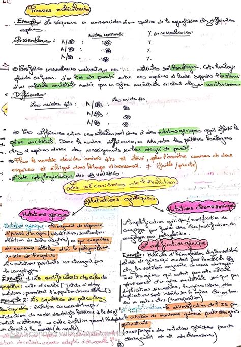 Bac Sc expérimentales Sciences SVT resume science toute l annee