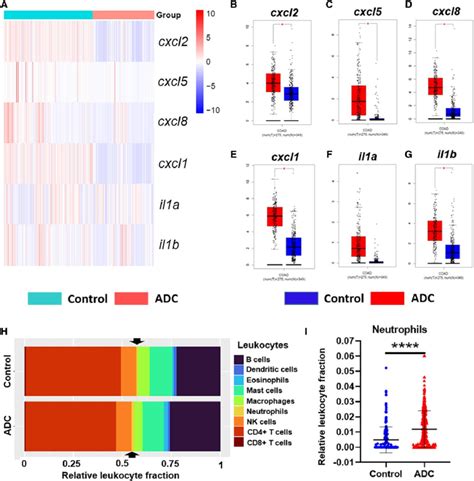 Colon Cancer Tumors Overexpress Transcripts Related To Molecules