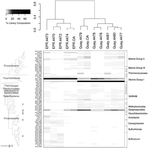 Relative Abundance Of OTUs From The Entire Microbial Community Of The