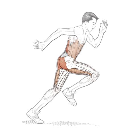 4 Exercises For Runners FitPro Blog