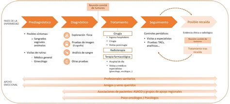 Matemático Mirar furtivamente barato cuales son las etapas de una