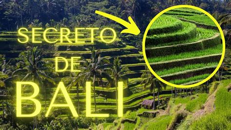 Qué hacer en BALI INDONESIA Te desvelamos EL MEJOR SECRETO de la