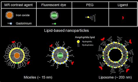Lipid Nanoparticles