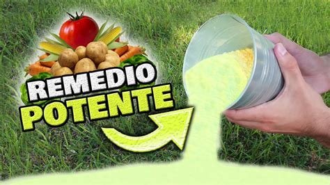 Guía para utilizar azufre en tus plantas Pregúntale a Mari Tu Blog