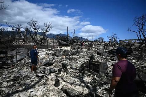La Jornada Incendios Forestales En Hawai La Mayor Tragedia Por