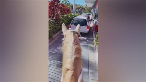 Newspascani Pa Cani T Rgu Frumos Ia I Video O Femeie S A Dus