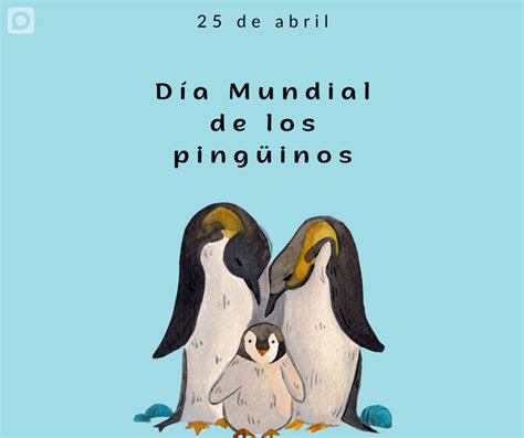 Día mundial de los pingüinos Islavision webIslavision web